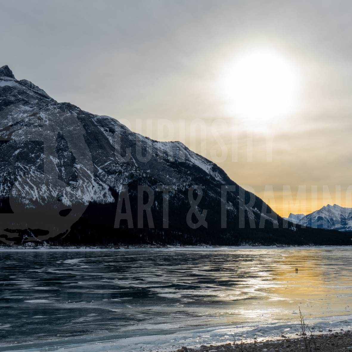 Barbi Hofer – Curiosity Art & Framing